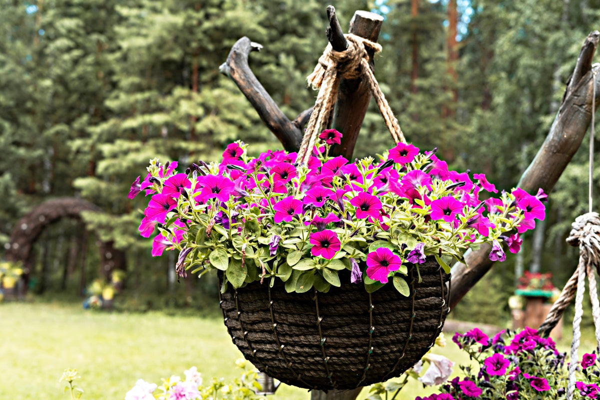 This Is How To Make A Homemade Hanging Basket As A DIY Low-Cost Option ...