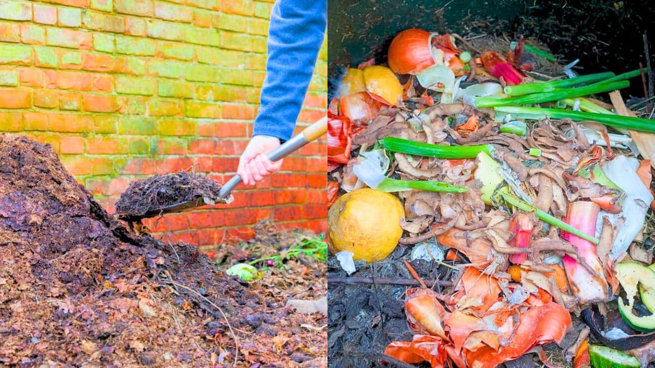 How To Start A Compost Heap In Your Garden - 'Save Money And Help The ...