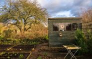 How To Start An Allotment: The Beginners Guide With Secrets From Expert ...