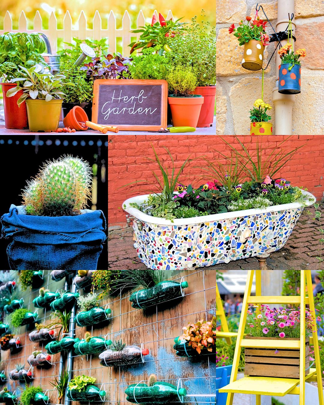 SIX Garden Designers Share Their Low-Cost Garden Design Ideas On A ...