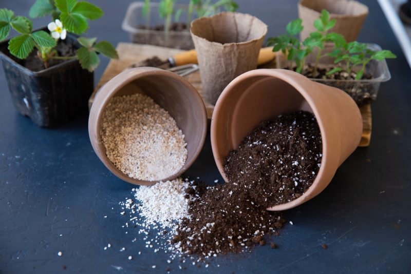 5 Ingenious DIY Potting Soil Recipes With Tips From Sarah Gerrard-Jones ...