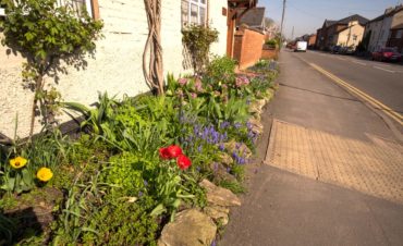10 Plants For Narrow Garden Borders With Ideas From Flo Headlam ...