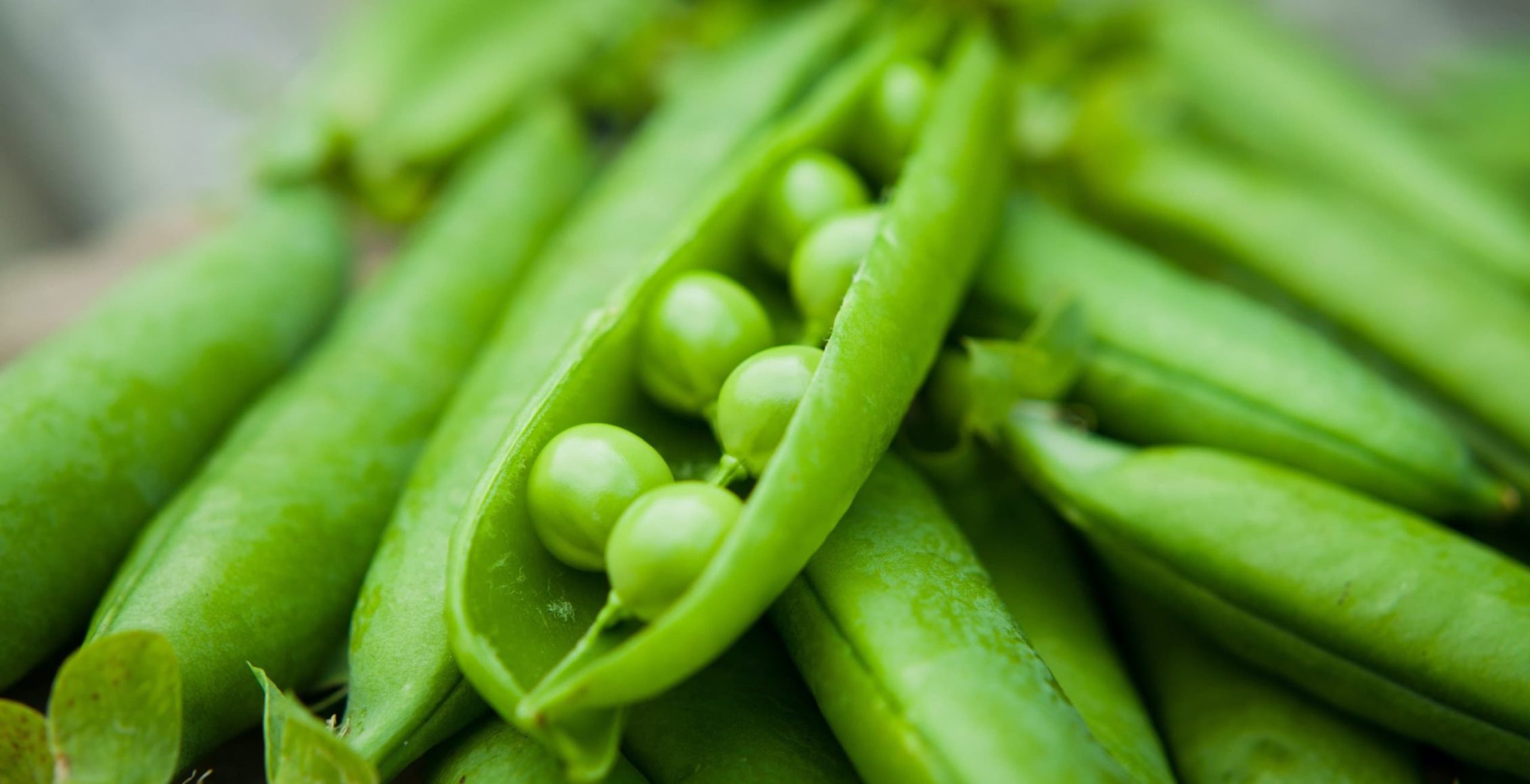 How To Grow Garden Peas - Plant Care & Tips | Horticulture™
