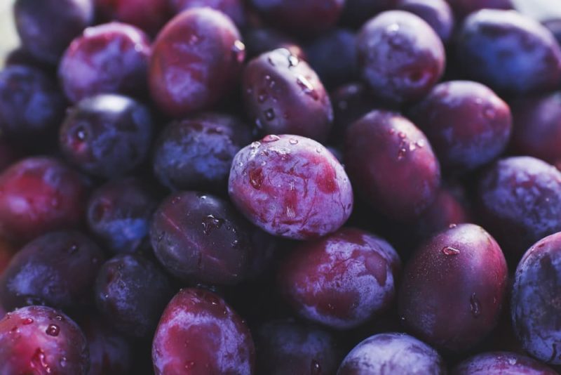 12 Types Of Plums To Grow In The UK | Horticulture.co.uk