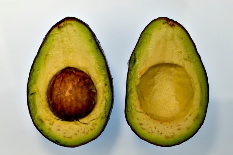 How To Grow An Avocado Stone In 6 Steps | Horticulture.co.uk