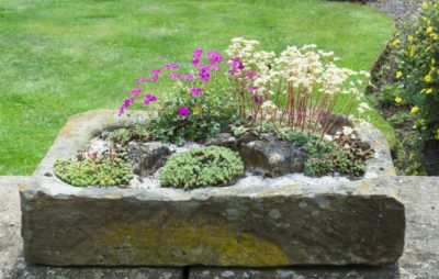 How To Create An Alpine Garden In 8 Steps With Jenny Shukman (Picts ...