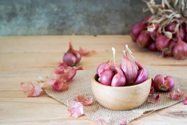 How To Grow Shallots | Horticulture Magazine