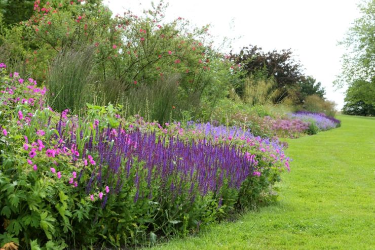 How To Create A Stunning Herbaceous Border | Horticulture