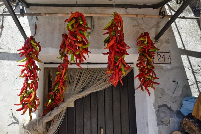 From Air Drying To Dehydrating: 3 Options To Dry And Preserve Chillies ...
