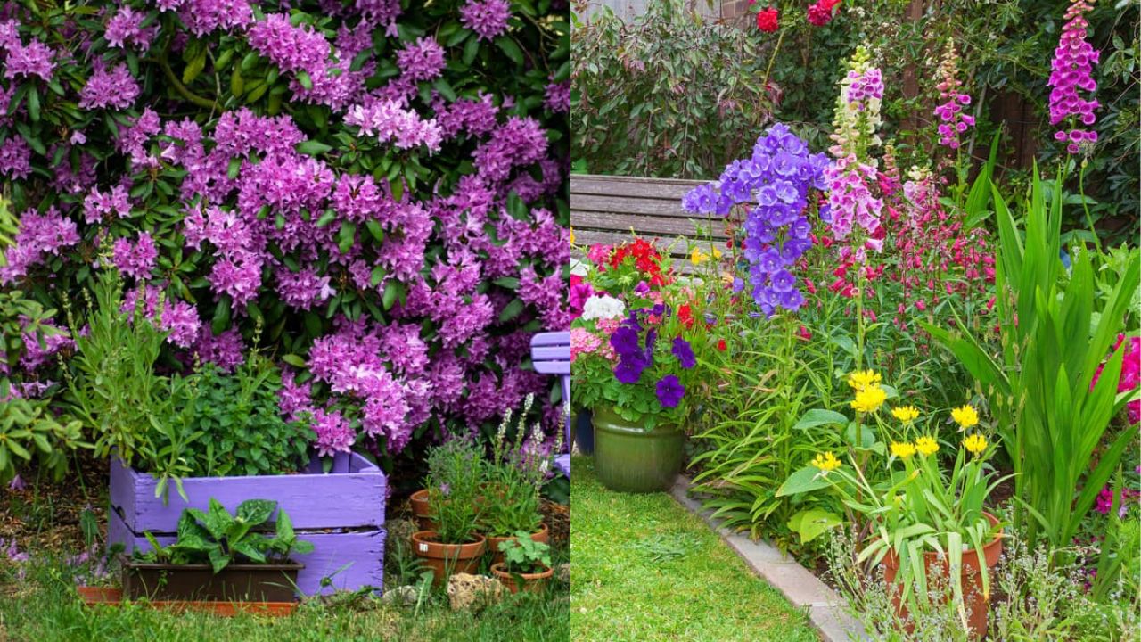 Landscaping A Shady Corner 35 Corner Garden Ideas That Will Save You