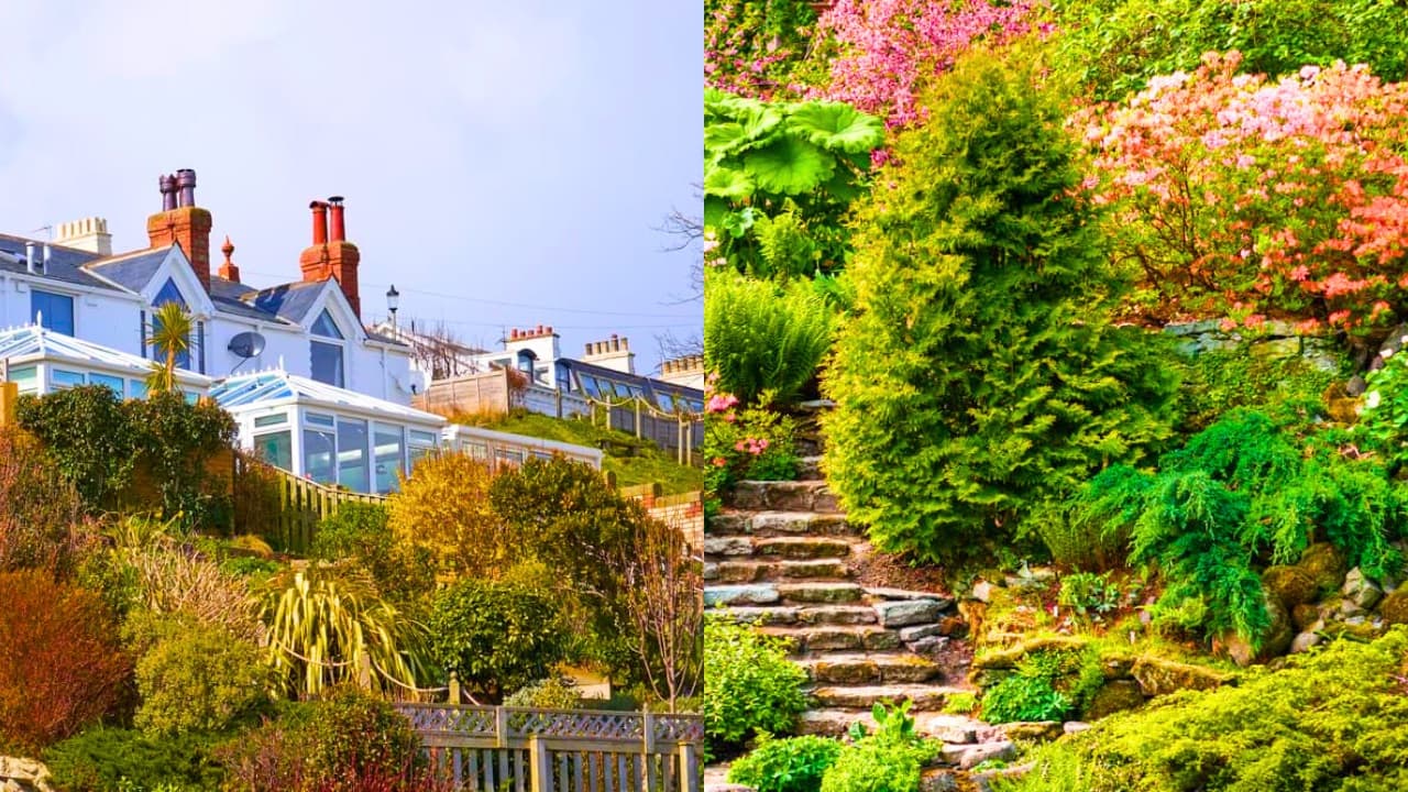 8 Tips For Planting And Gardening On A Slope From Landscape Gardeners ...