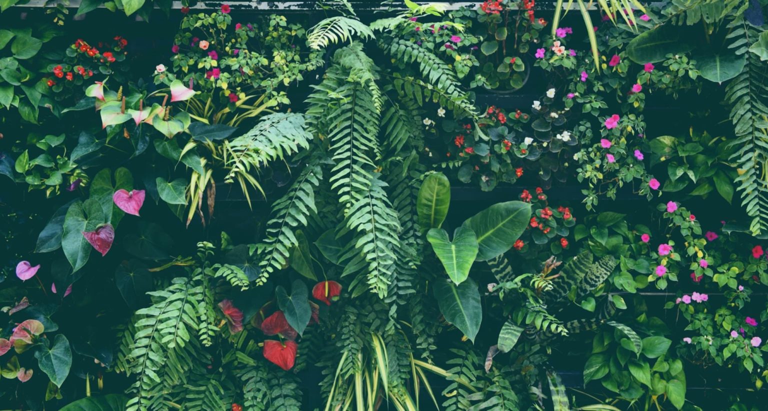 Tropical Gardens Are Possible In Cooler Climates - Here's 11 Inventive ...