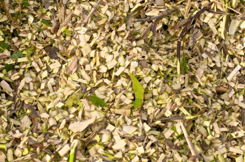Here Are 8 Resourceful Ways You Can Use Wood Chips In The Garden ...