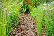 Here Are 8 Resourceful Ways You Can Use Wood Chips In The Garden ...