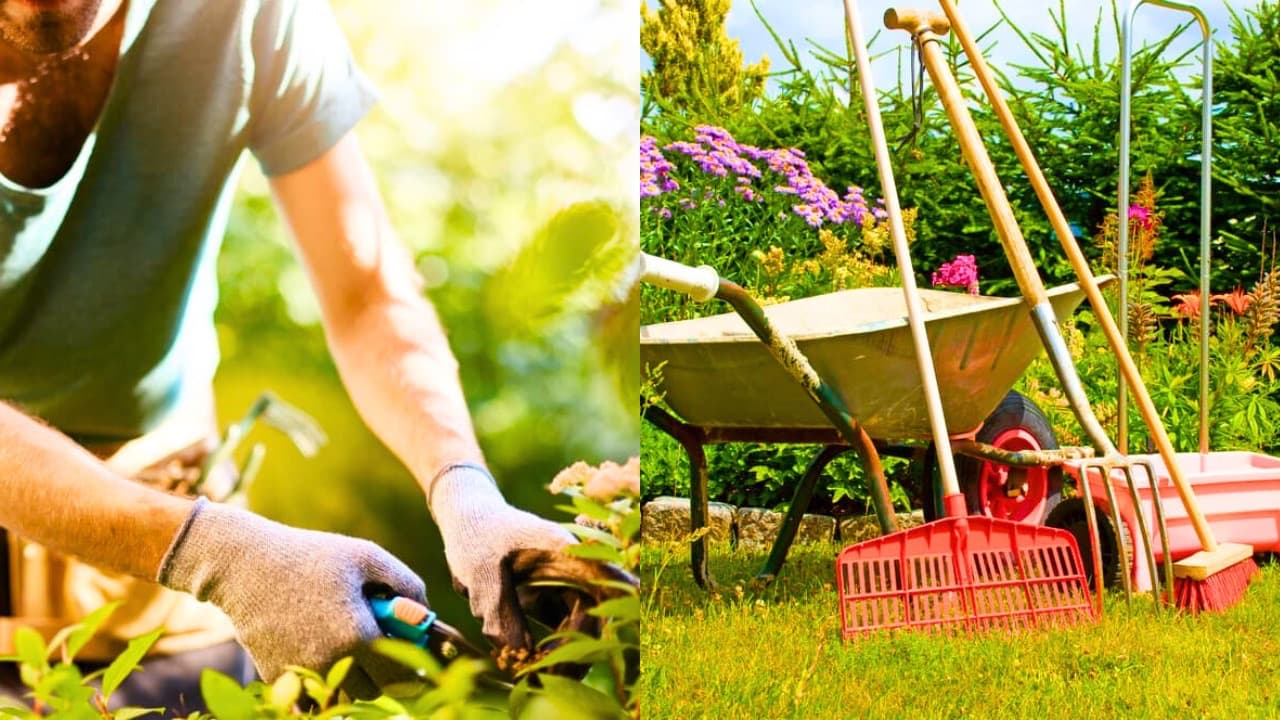 Experts Weigh In On How To Find The Right Gardener For You (And Making ...