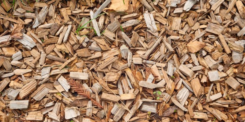 Here Are 8 Resourceful Ways You Can Use Wood Chips In The Garden ...