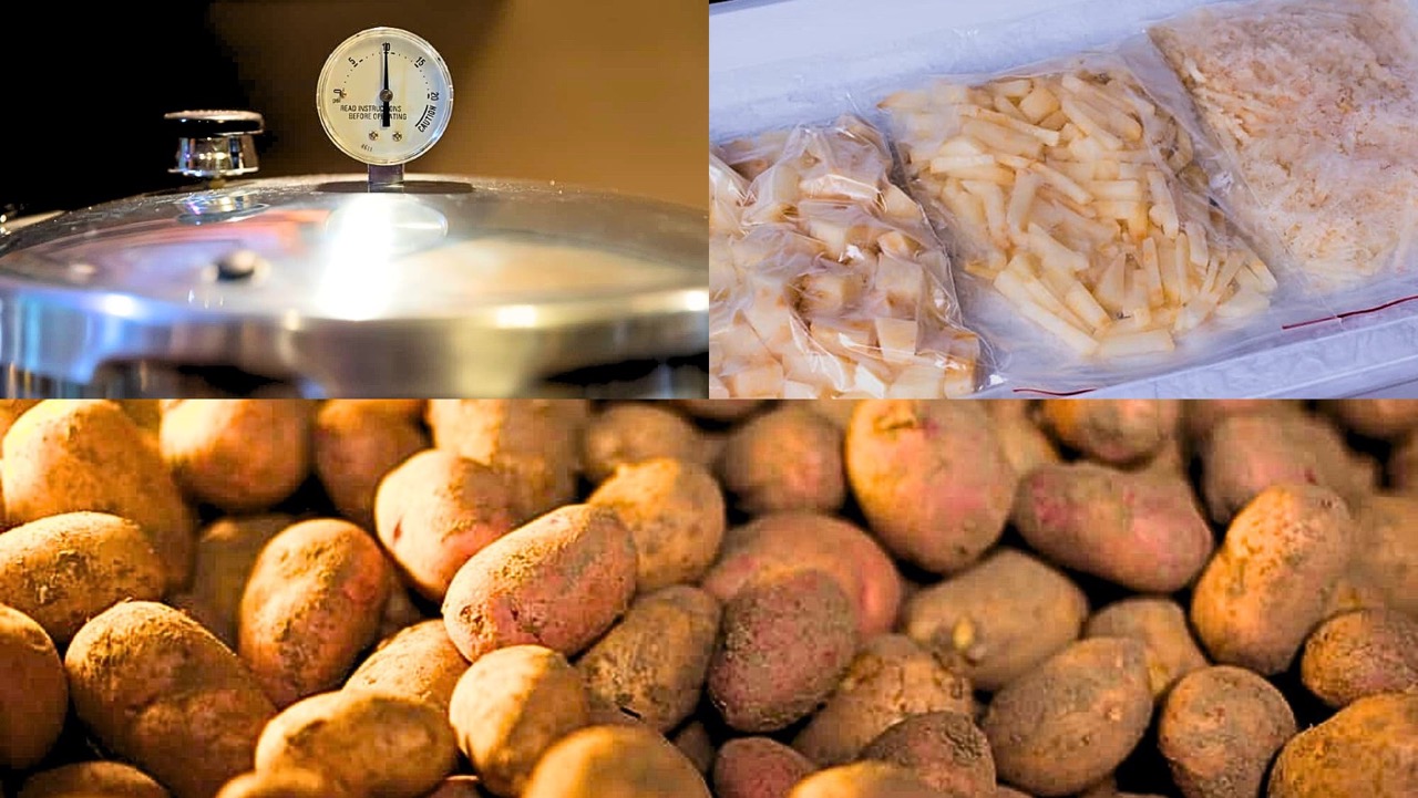 Permaculture Gardener's 4 Potato Storage Methods That Keep Them Fresh ...