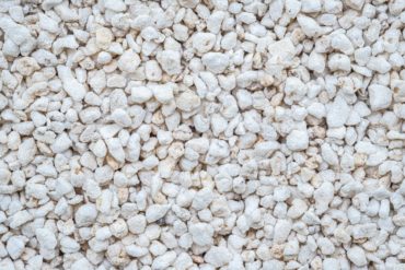 Perlite vs Vermiculite: What Are The Differences And Which Is The Best ...