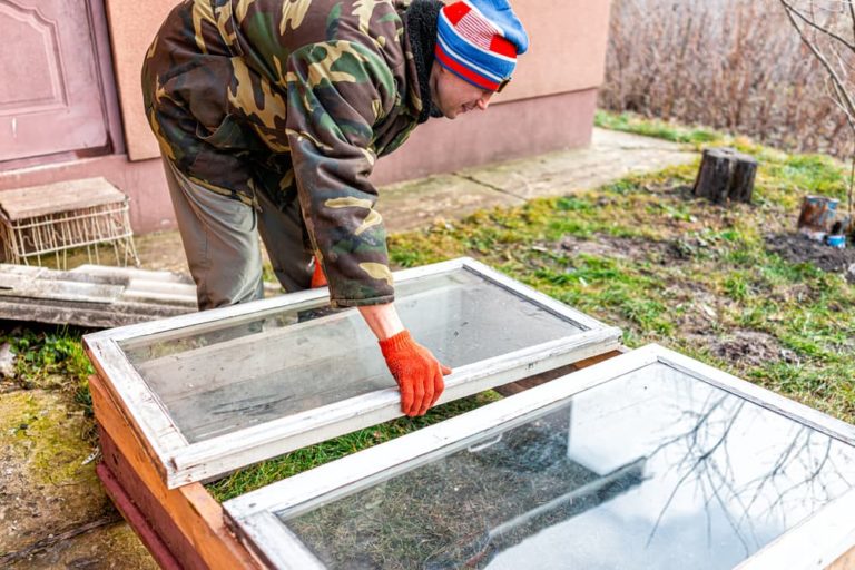 How To Build A DIY Cold Frame In 4 Easy Steps - Help Half-Hardy Plants ...