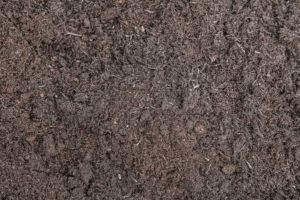 Horticulturists Explain Why Ericaceous Compost Is A Must For Acidic ...