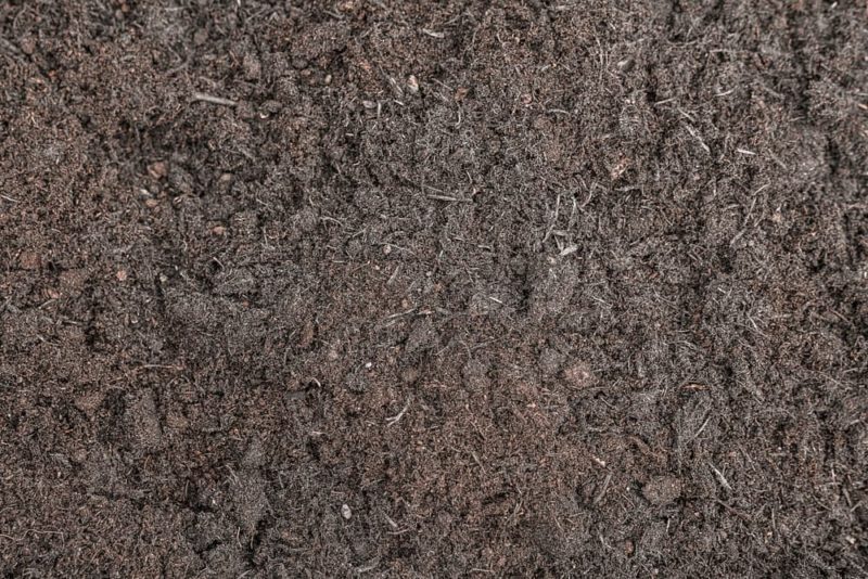 Horticulturists Explain Why Ericaceous Compost Is A Must For Acidic ...