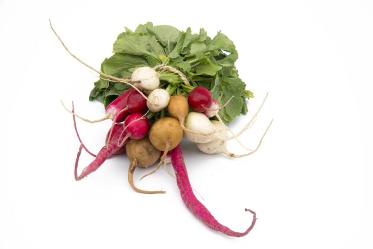 How To Grow Crisp & Flavourful Radishes | Horticulture.co.uk