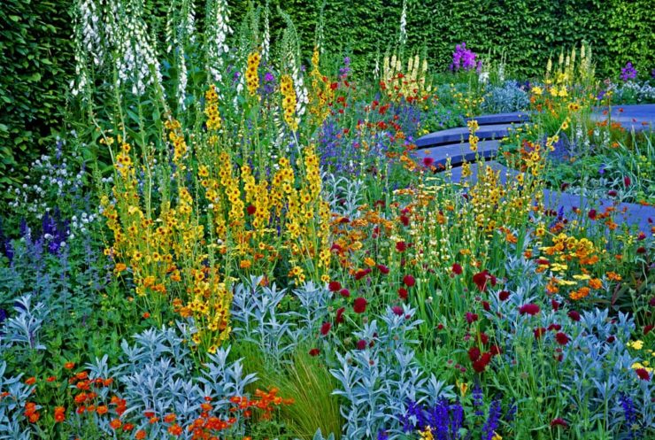 17 Vivid Flower Garden Ideas And Designs With Tips From Ann-Marie ...