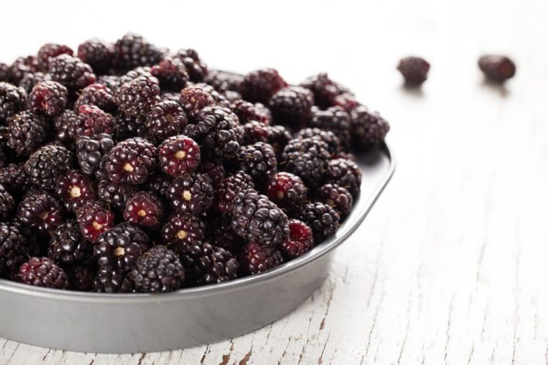 A Comprehensive A-Z List Of Berry Types From Acai To Tayberry ...