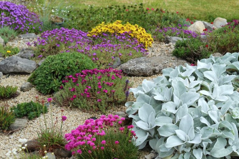 How To Create An Alpine Garden In 8 Steps With Jenny Shukman (Picts ...