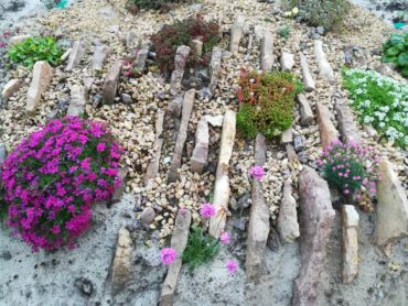 How To Make An Alpine Garden In 8 Steps | Horticulture.co.uk