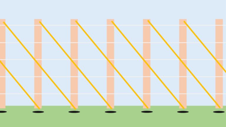 Growing Fruit Trees In Smaller Spaces? Use A Cordon System To Increase ...