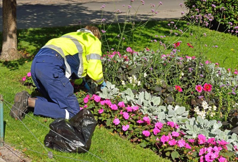 Experts Weigh In On How To Find The Right Gardener For You (And Making ...