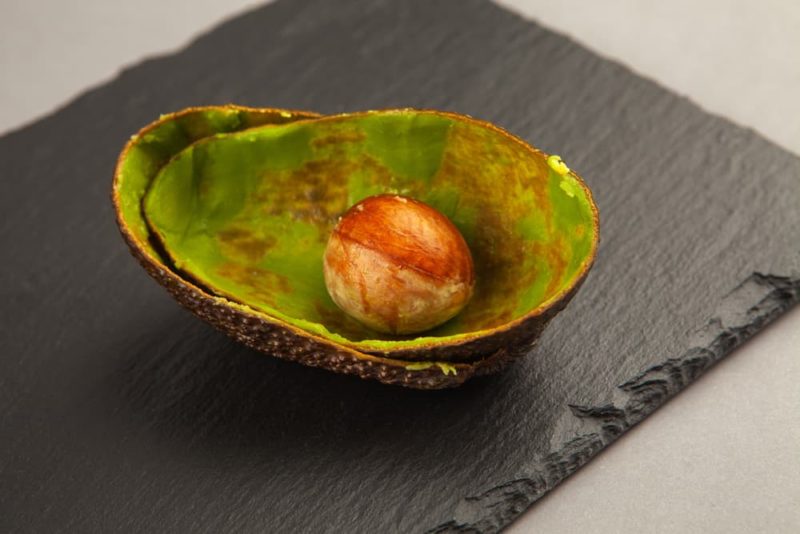 How To Grow An Avocado Stone In 6 Steps | Horticulture.co.uk