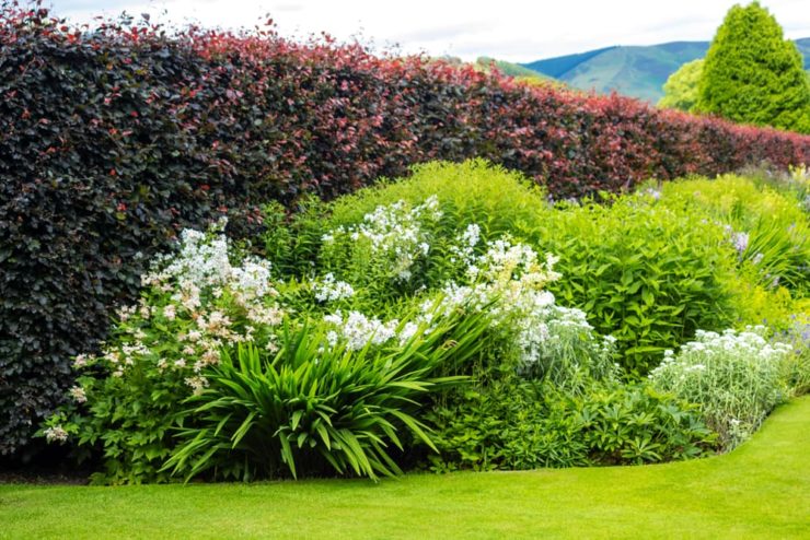 How To Create A Stunning Herbaceous Border | Horticulture