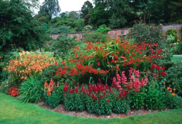 How To Create A Stunning Herbaceous Border | Horticulture