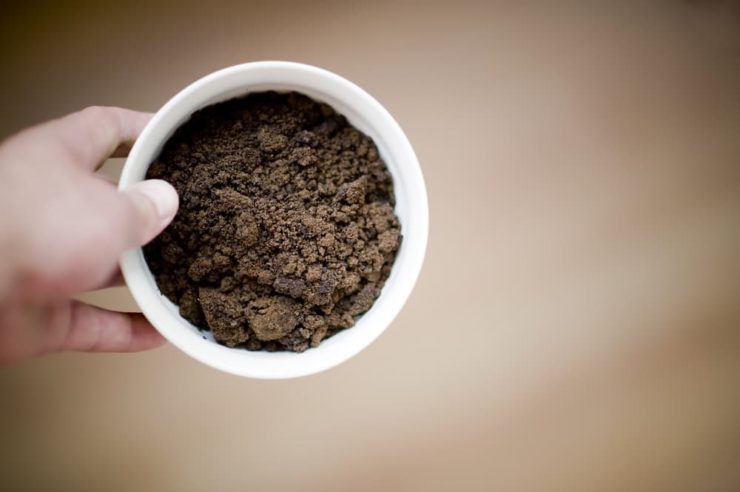 Did You Know You Can Use Old Coffee Grounds In The Garden? Here's How ...