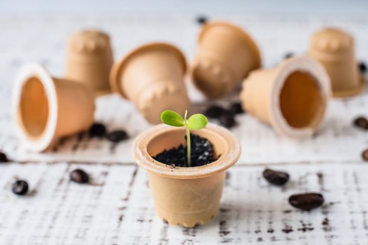 Did You Know You Can Use Old Coffee Grounds In The Garden? Here's How ...