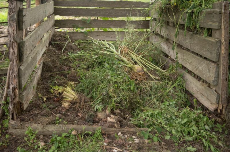 How To Start A Compost Heap In Your Garden - 'Save Money And Help The ...