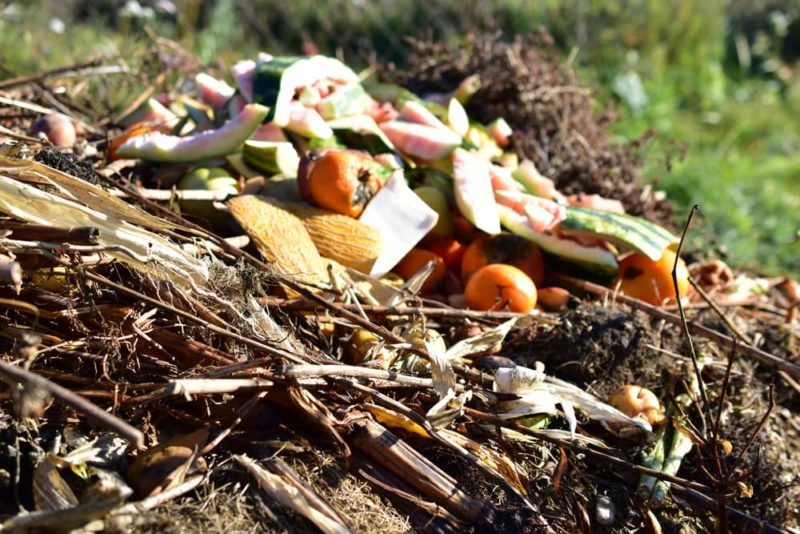 How To Compost With Coffee Grounds Effectively | Horticulture