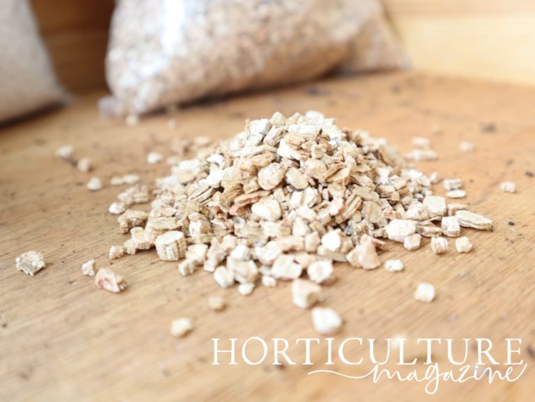 Perlite vs Vermiculite: What Are The Differences And Which Is The Best ...