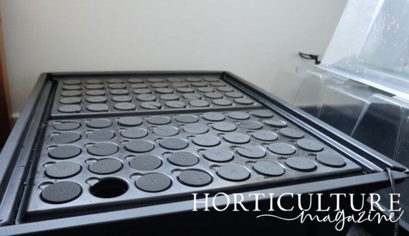 Master Horticulturist's Guide To Taking And Propagating Plant Cuttings ...