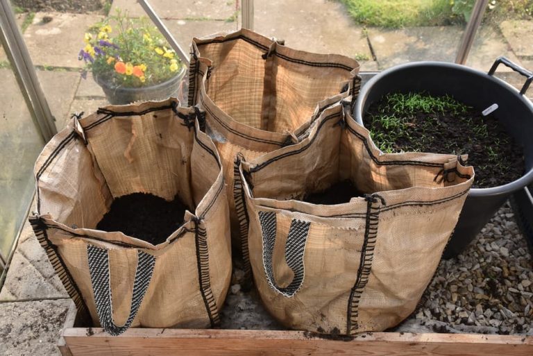 Potatoes In Grow Bags - Here's How To Choose And Grow Yours In 6 Simple ...