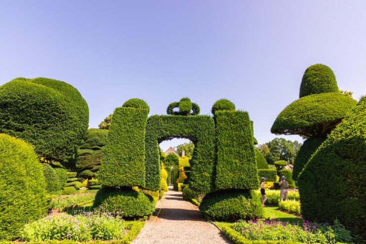 8 Expert-Approved Topiary Trees & Bushes For Amazing Garden Shapes ...