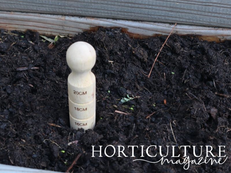 10 Essential Tips For Planting Bulbs In Pots, According To Master ...