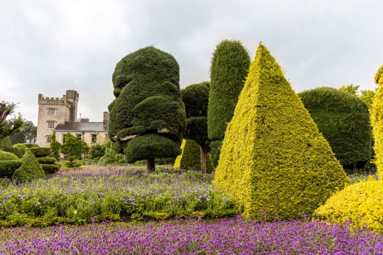 8 Expert-Approved Topiary Trees & Bushes For Amazing Garden Shapes ...