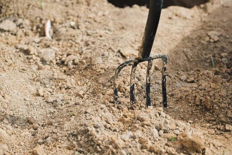 Heavy Clay Soil Can Be Difficult - Here's How To Break It Up (And Other ...