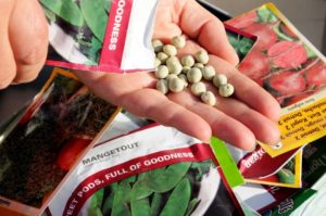 Get Planning And Start A Vegetable Patch In Your Garden With This 12 ...