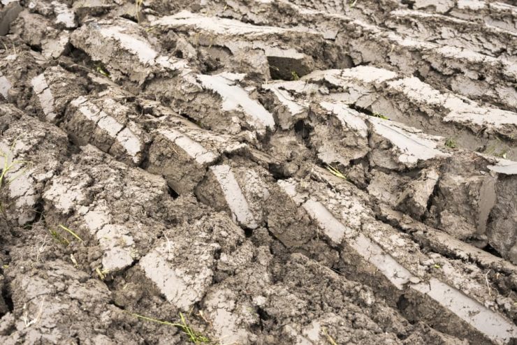 Heavy Clay Soil Can Be Difficult - Here's How To Break It Up (And Other ...