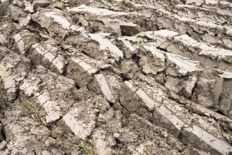 Heavy Clay Soil Can Be Difficult - Here's How To Break It Up (And Other ...