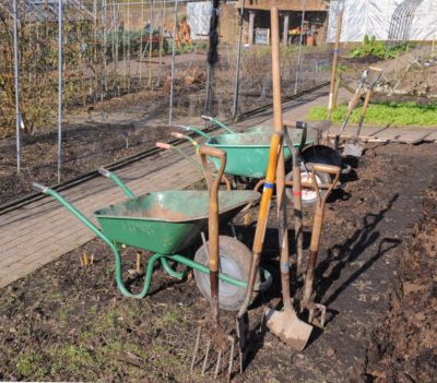 Get Planning And Start A Vegetable Patch In Your Garden With This 12 ...